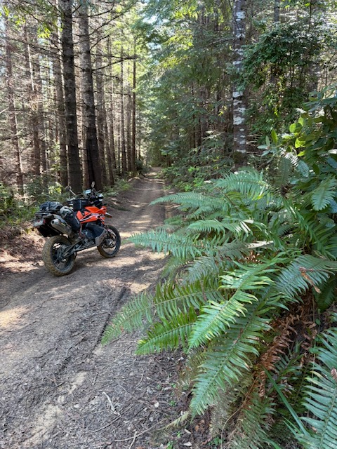 Sierra Nevada Adventures | Dual Sport Multi Day Rides | Pacific Coast Rides | Trail of Tear ...